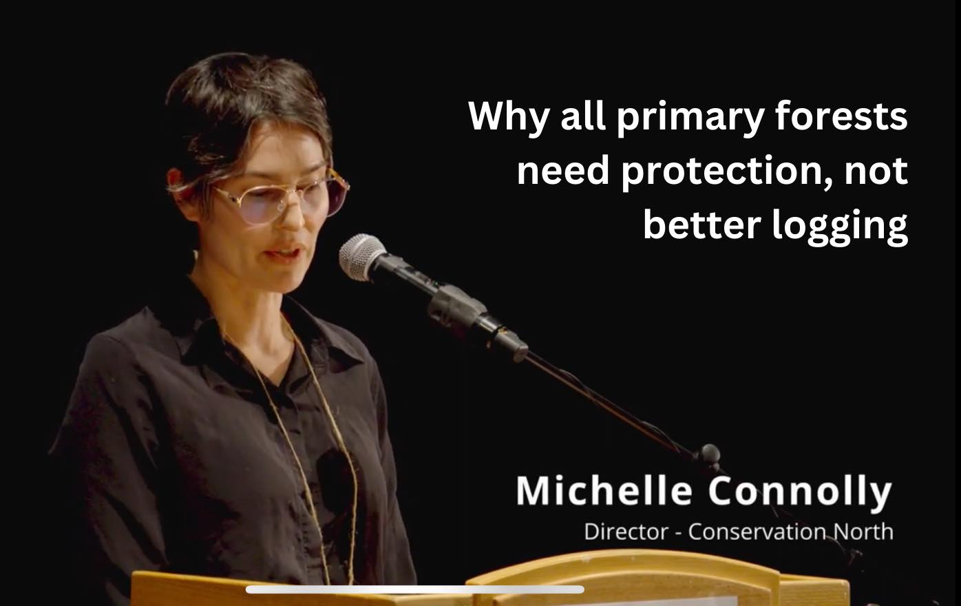 Why all primary forests need protection, not better logging ...